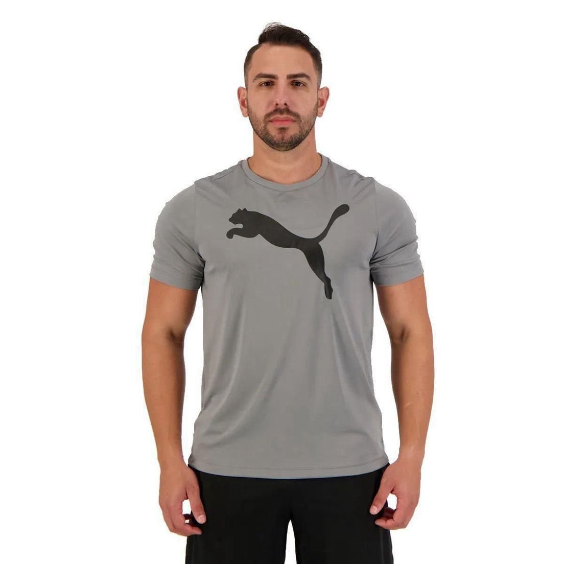 Camiseta Puma Active Big Logo Masculina 671738-06 Cinza