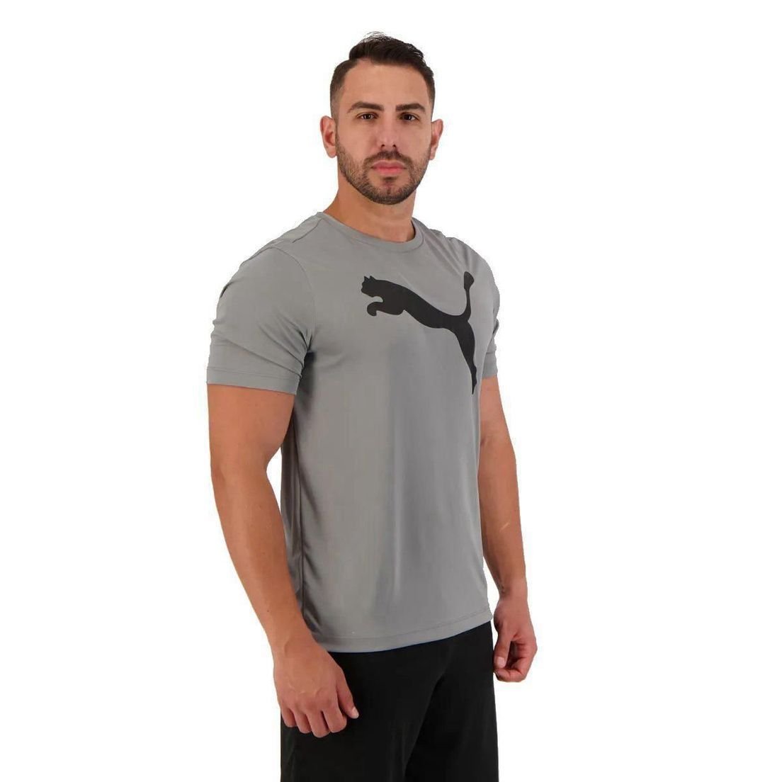 Camiseta Puma Active Big Logo Masculina 671738-06 Cinza