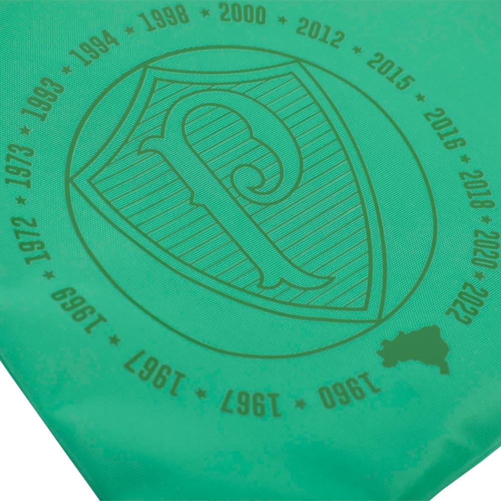 Mochila Saquinho Palmeiras X01 Alviverde - Verde Verde